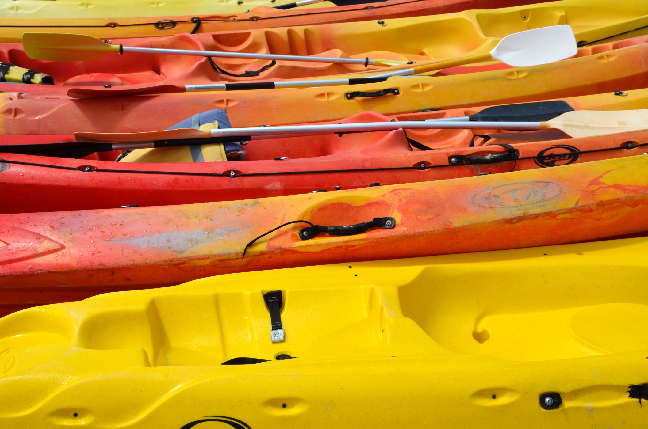 Kayak Hire in Rome | Kayak Rental in Rome | CKAcademy